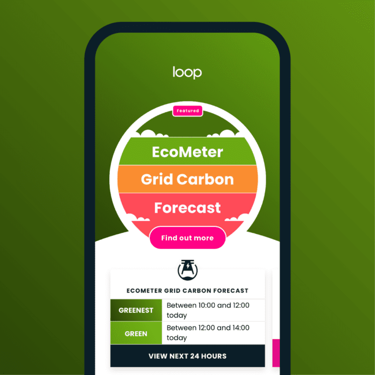 Beginners Guide: How To Use The Free Loop Smart Meter App